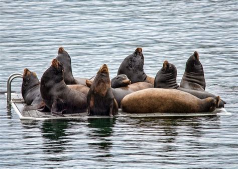 Data Modeling Zone 2018