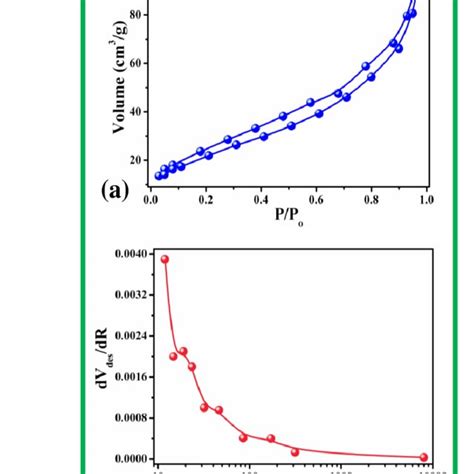 Specific Surface Area Analysis Where Curves Show A Download