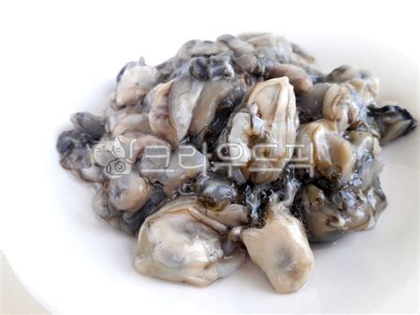 생굴 굴 음식 Food 수산물 사진 이미지 일러스트 캘리그라피 신정작가