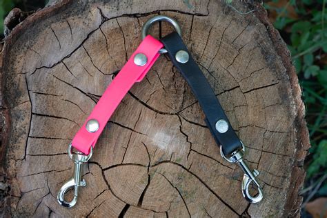 Safety Lead K9 Sprinter