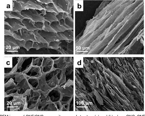 Figure 4 From Preparation And Properties Of Cellulose Nanofibril Graphene Nanosheetspolyaniline