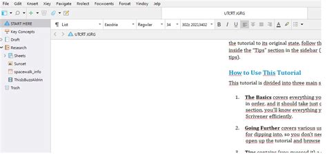 Issue With Strange Characters In Scrivener Menu On Windows Scrivener For Windows