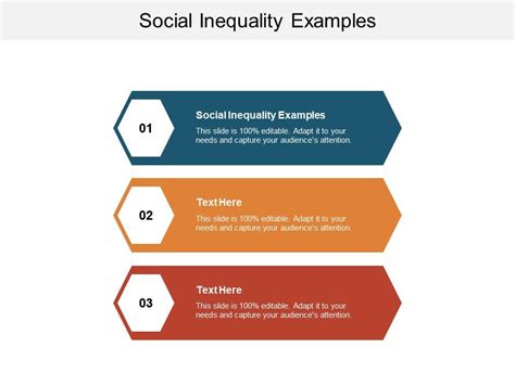 Social Inequality Examples Ppt Powerpoint Presentation Layouts Skills