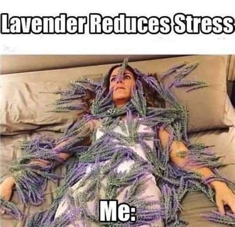 30 Best Funny Stress Memes Anxiety Coaching Counselling