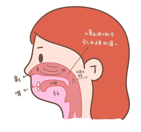 鼻粘膜肿大的图片 鼻粘膜肿胀图片 鼻粘膜水肿图片 大山谷图库