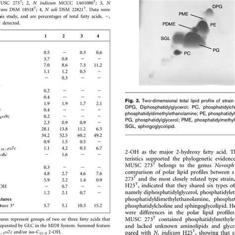 Phylogenetic Tree Reconstructed Using The Neighbour Joining Algorithm Download Scientific