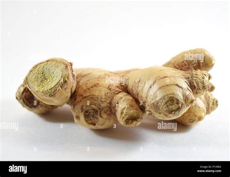 Zingiberaceae Ginger Root Used As Ingredient In Various Regional