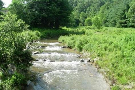 Mitigation Services Nc Deq