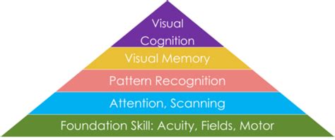 Visual Perception And Sensory Dysfunction Flashcards Quizlet