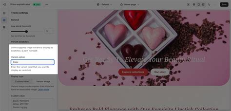Theme Settings Saleshunterthemes