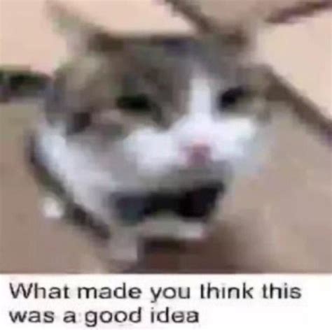 Shadow Mario On Twitter For Those Who Are Following Me Because Of This Art Watch The Fuck Out