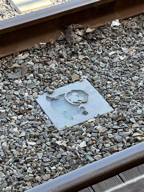 [잡담] 귀여운 물개 보고가 인스티즈 Instiz 일상 카테고리