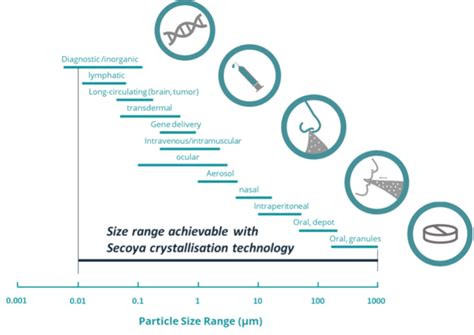 Versatile Equipment For Multiple Crystallization Modes And Particle Sizes Range Secoya