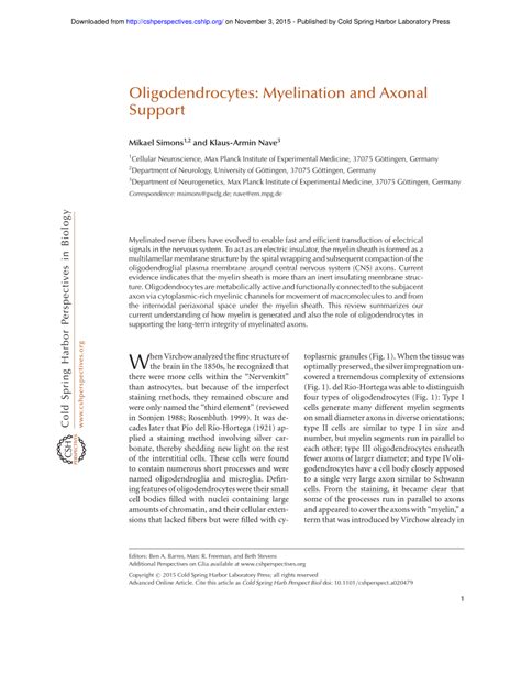 Pdf Oligodendrocytes Myelination And Axonal Support