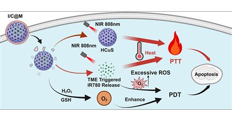 Multifunctional Nanozymes By Amplifying Intracellular Oxidative Stress For Enhanced Photothermal