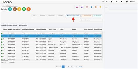 Samples Submission — Copo Project 10 Documentation