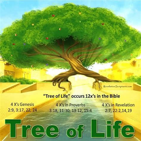 Tree Of Life In Heaven