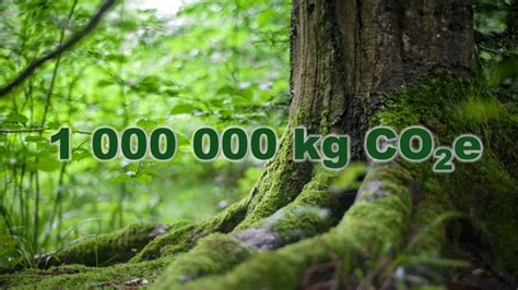 Anva Polytech Ab On Linkedin Sustainability Environment Co2reduction Rubberindustry…