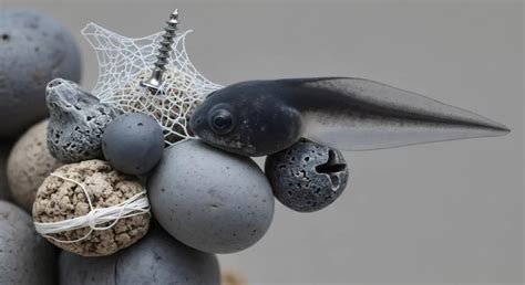 Why Should Developed Nations Help Developing Countries → Question