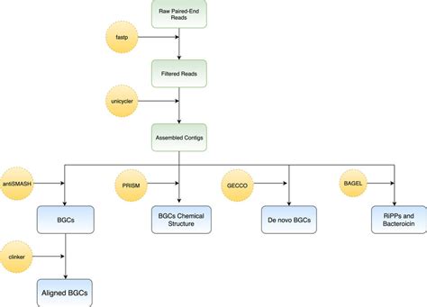 analysis pipeline workflow download scientific diagram