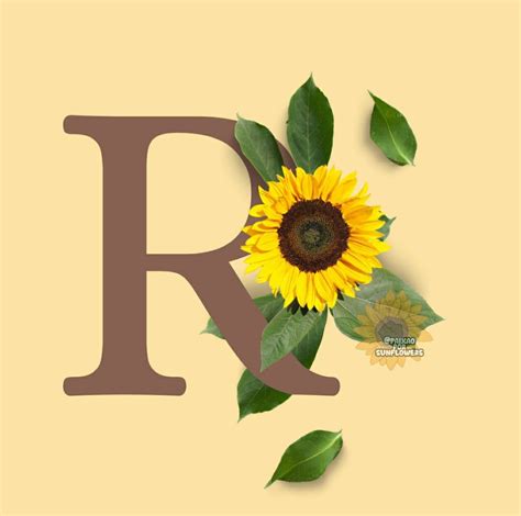 Letra R Arte Girassol Girass Is Flor Girassol