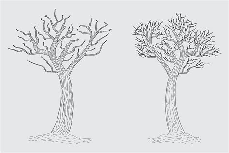 Hand Drawn Winter Bare Tree Sketch Vector Bare Trees Leafless Dead Old Dry No Leaves Pencil