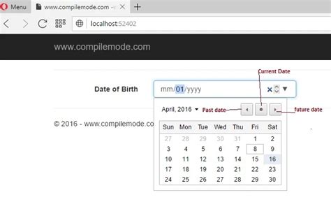 Calendar Control Using Model Class In Asp Net Mvc