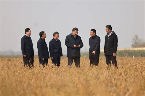 习近平：能源的饭碗必须端在自己手里 新华报业网