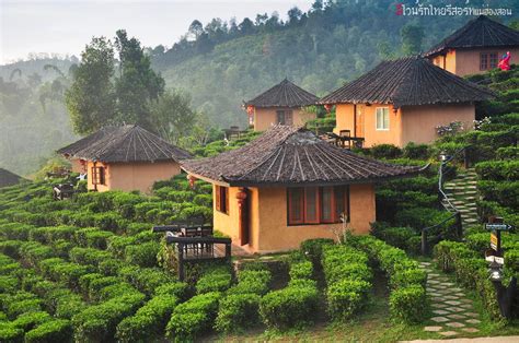 ลีไวน์รักไทย รีสอร์ท แม่ฮ่องสอน Friday Vacation