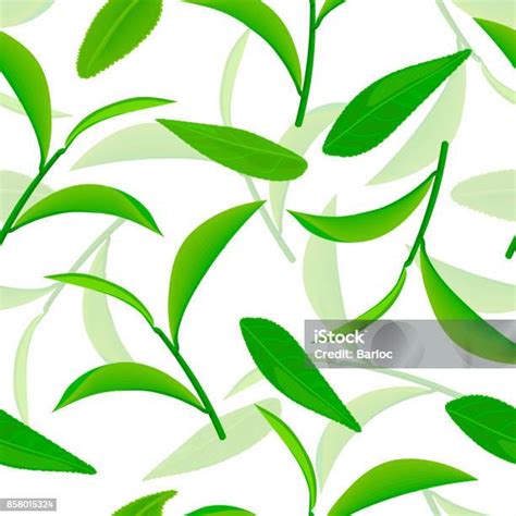 생생하게 비행 녹차 잎 원활한 벡터 패턴 흰색 배경 3d 그림 3차원 형태에 대한 스톡 벡터 아트 및 기타 이미지 3차원
