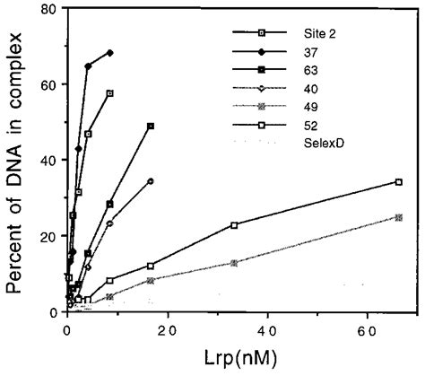 Binding Curves For Several Lrp Binding Sites Sites 2 And 4 Selex D Download Scientific