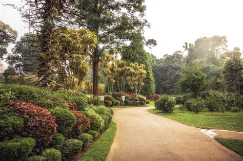 무성한 녹색 화단 나무 식물과 잔디와 정원 디자인 공원 풍경 은 스리랑카 근처 캔디로얄 가든 페라데니야에서 조경 디자인 식물학에 대한 스톡 사진 및 기타 이미지 Istock