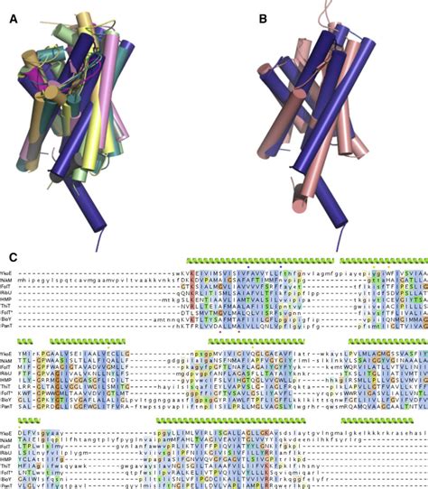 Structure Superposition Of S Components A Superposition Of The Download High Resolution