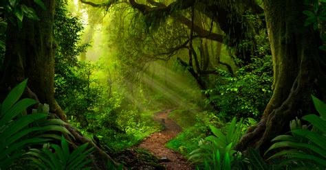 Gripping Adventure Tales Set Deep In The Jungle Off The Shelf