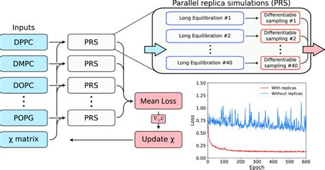 Learning Force Field Parameters From Differentiable Particle Field Molecular Dynamics PMC