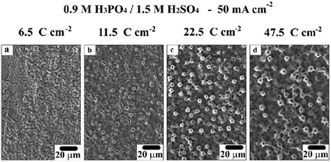 Transformation Of A Grooved To A Microporous Microstructure A To D By Download Scientific