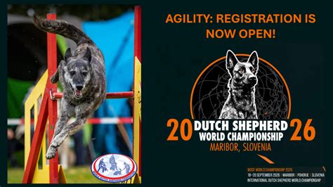 Wdsf World Championship 2026 Agility Registration Is Now Open Wdsf