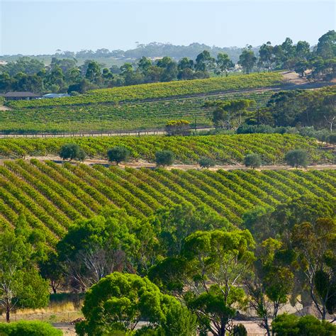 Willunga 100 Liberty Wines