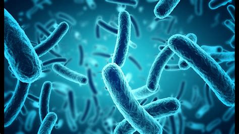 Dirty Water Week Total Coliform Bacteria Test Results