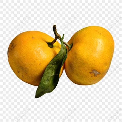 잎을 가진 신선한 씨없는 오렌지과일얇은 피부주황색 Png 일러스트 무료 다운로드 Lovepik