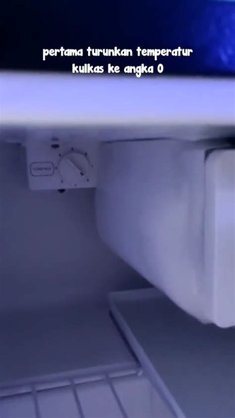 Cara Mencairkan Bunga Es Dengan Cepat Ini Pakai Satu Bahan Dapur Cocok