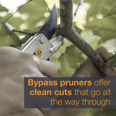 Fiskars Gardening Tools Bypab00002n66h