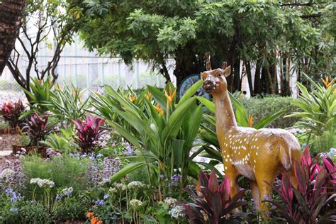 龙岗将新建15座花园！地址澎湃号·政务澎湃新闻 The Paper