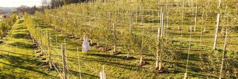 Jared Prichard On Linkedin Southall Farm And Inn Wellness Hotel Review — Travel Curator