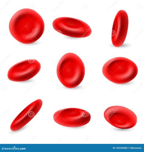 Erythrocyte Cartoons Illustrations And Vector Stock Images 4600 Pictures To Download From