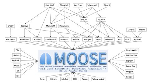 Moose Framework Solving Specific Physics