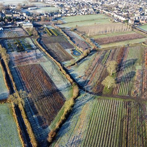 Did You Know That Weve Been Beardsworths Nurseries