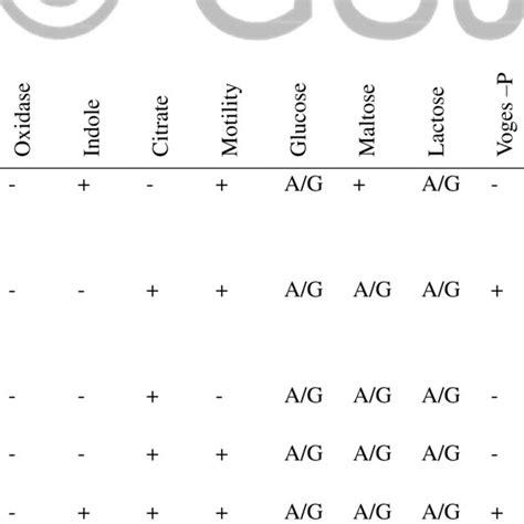 Characterization And Identification Of Hydrocarbon Utilizing Bacterial Download Scientific