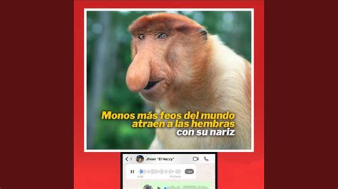 Jhoan Le Dice Narizón Al Patrón Youtube