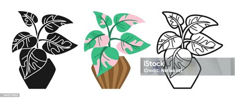 화분에 심은 집 식물 만화 아이콘 세트 잎 관엽 식물 화분 낙서 라인 아이콘 실루엣 스타일 낙서 드로잉에 대한 스톡 벡터 아트 및 기타 이미지 낙서 드로잉 선 아이콘